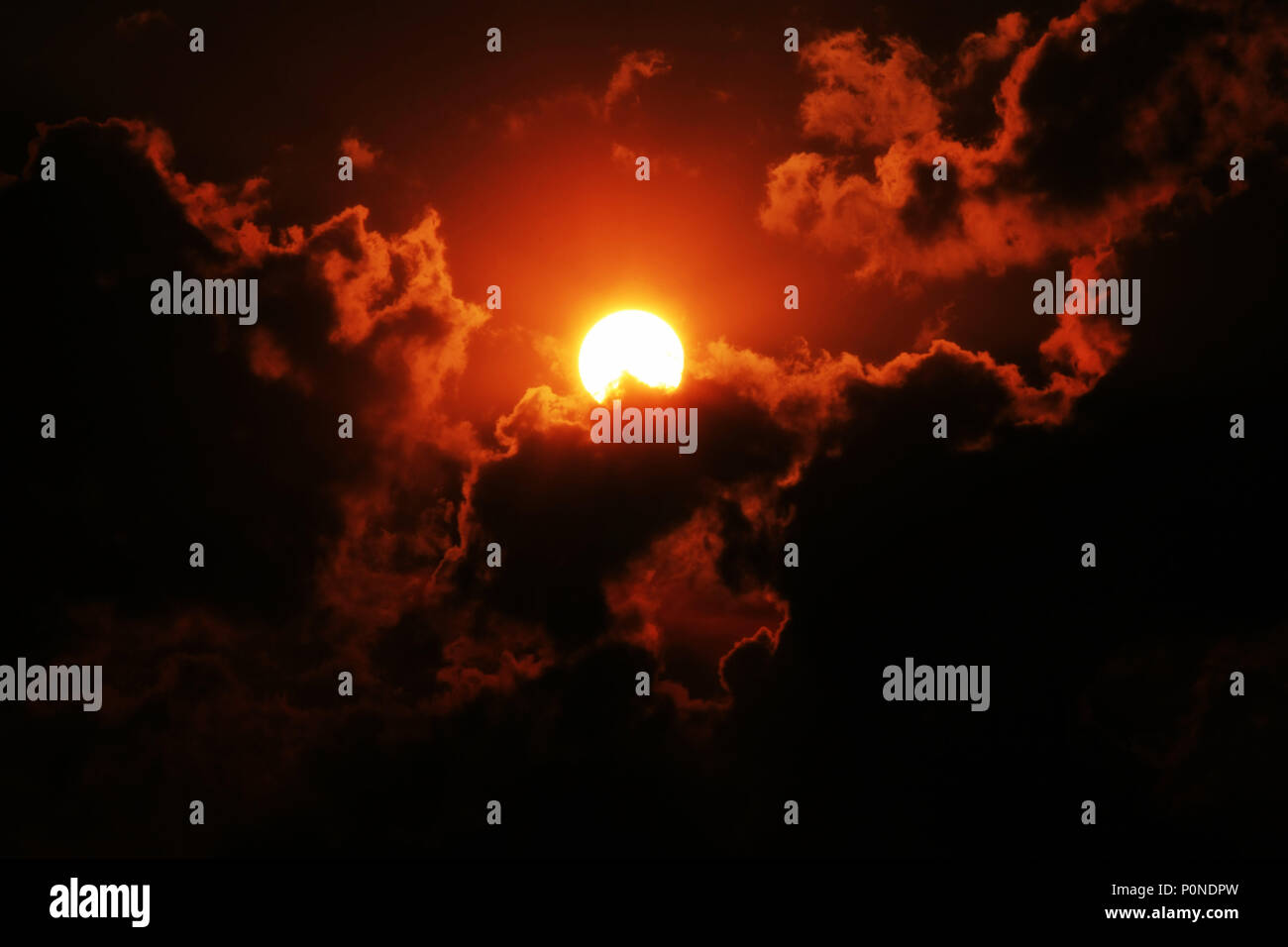 Seek the sun hi-res stock photography and images - Alamy