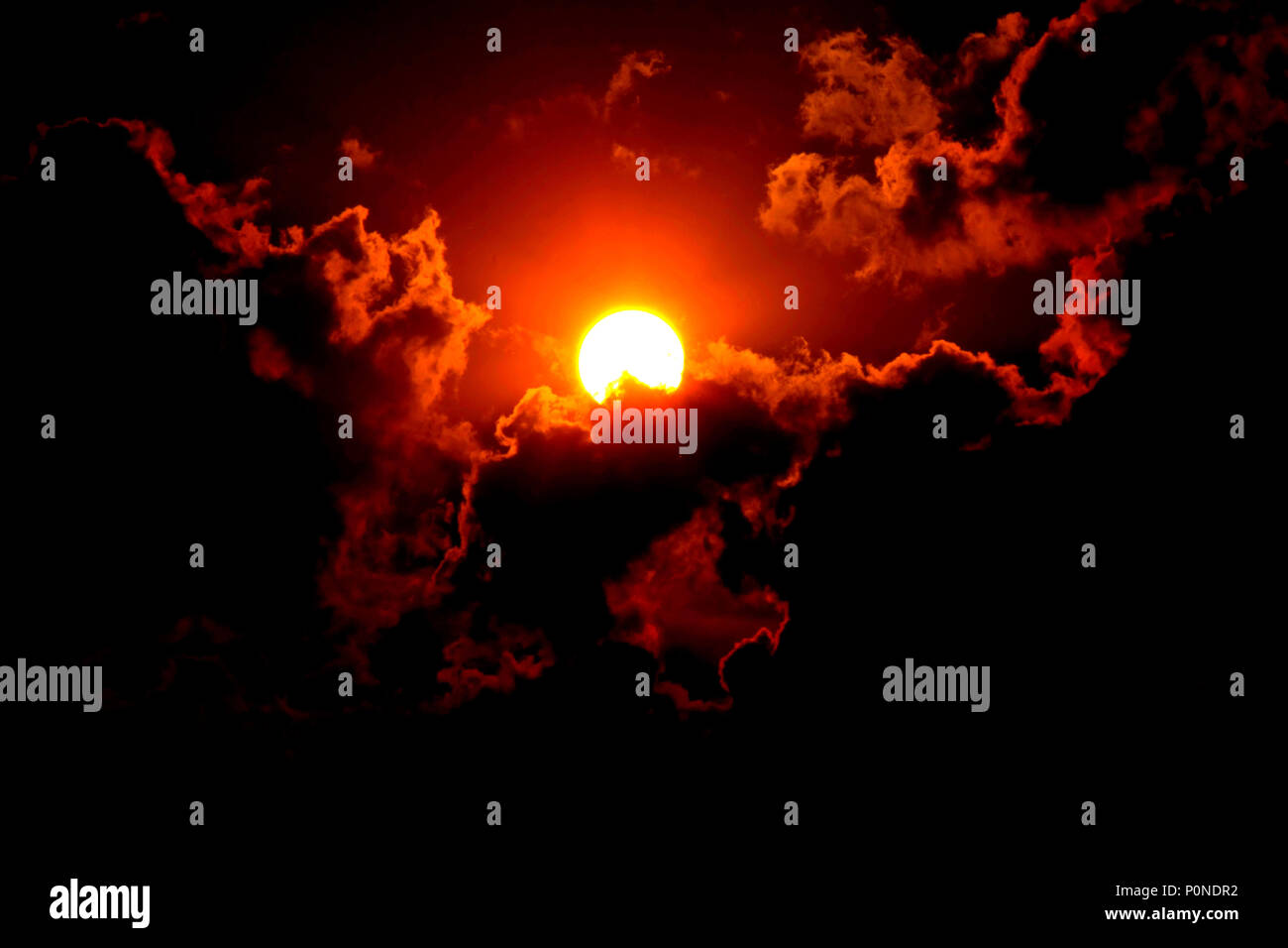 Seek the sun hi-res stock photography and images - Alamy