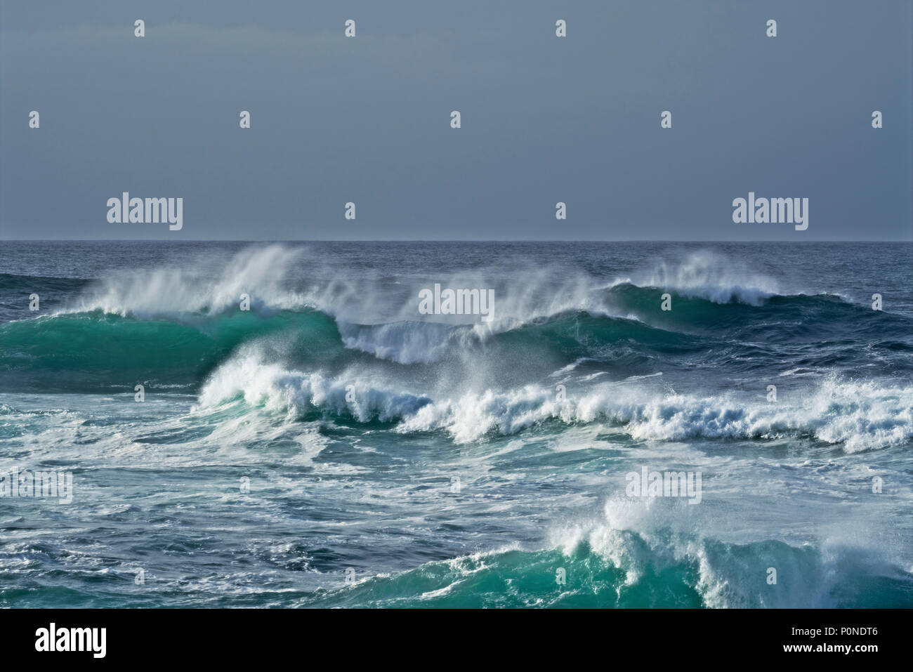 State parks tide pools sea birds hi-res stock photography and images ...