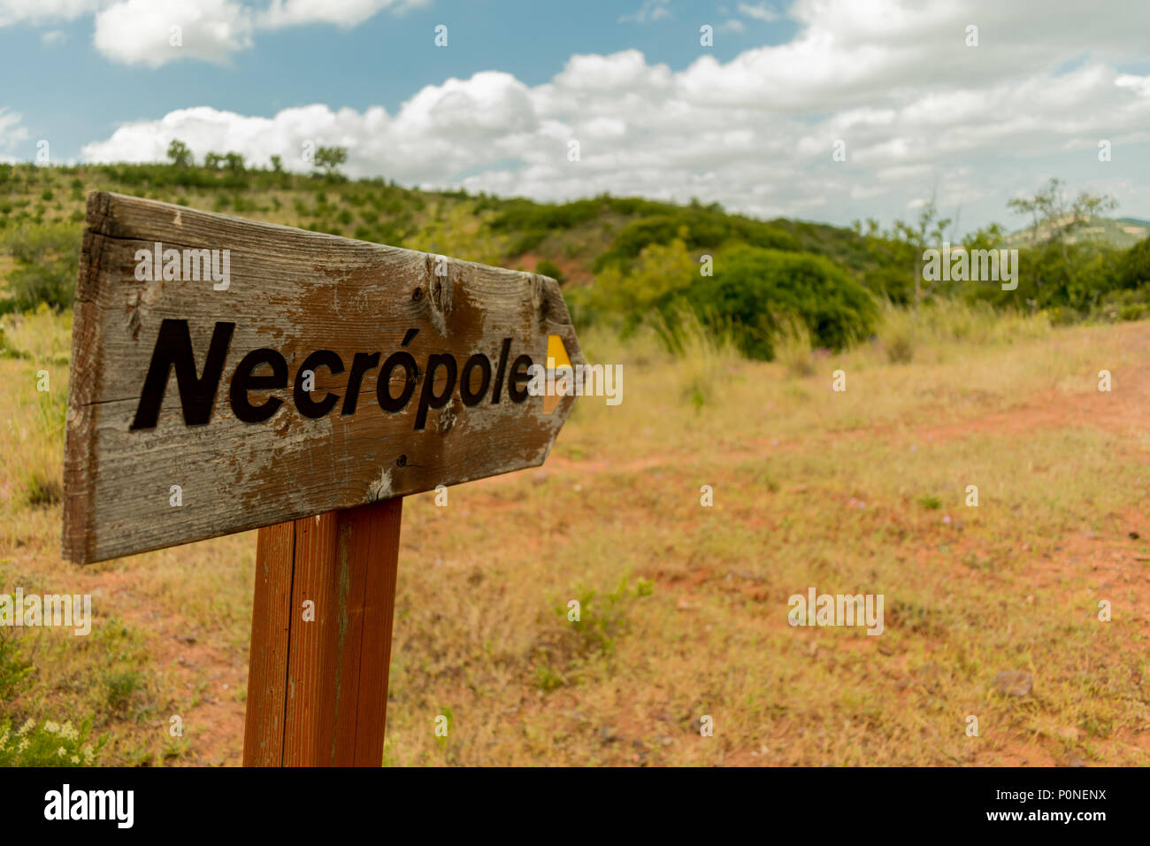Necropole High Resolution Stock Photography and Images - Alamy