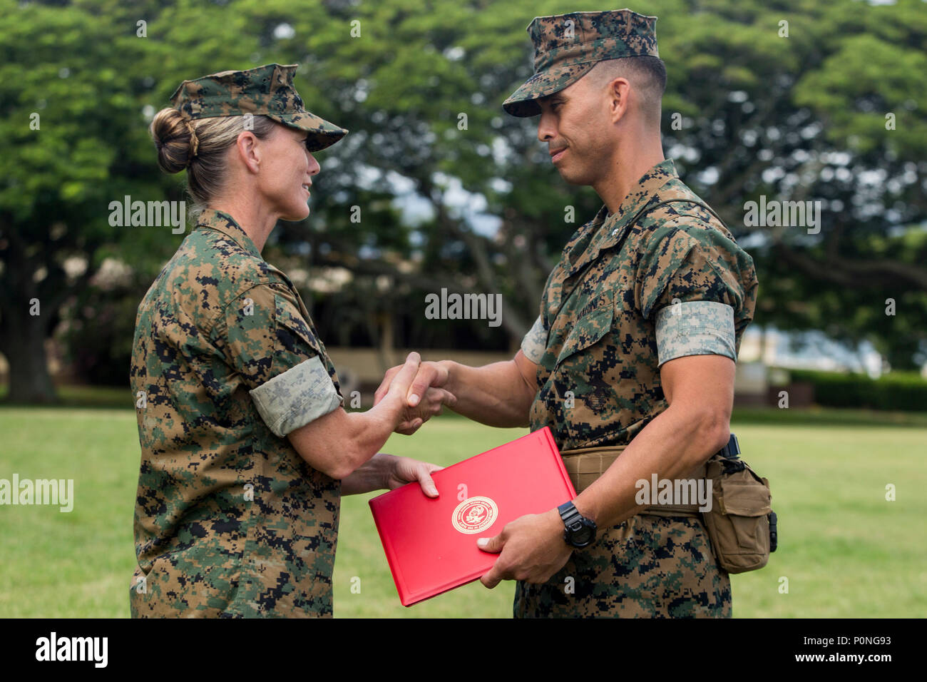 U.S. Marine Corps Col. Maura Hennigan, commanding officer, Combat ...