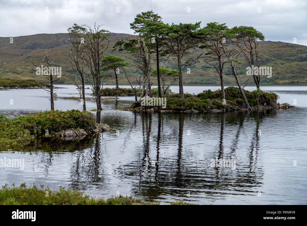 Island loch awe hi-res stock photography and images - Alamy