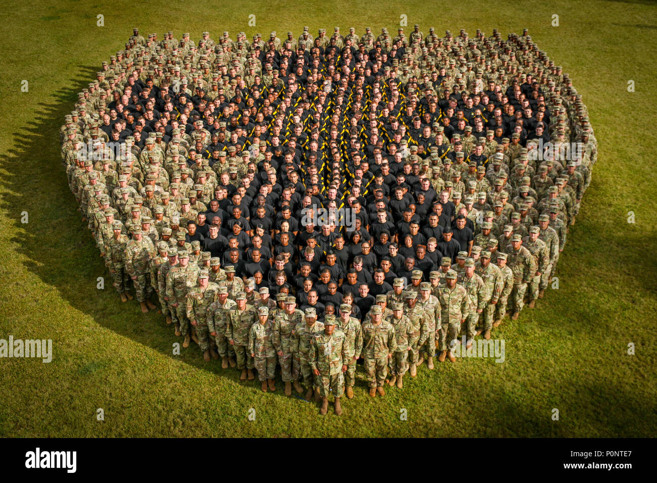 More than 800 Soldiers from the 8th Theater Sustainment Command, re ...