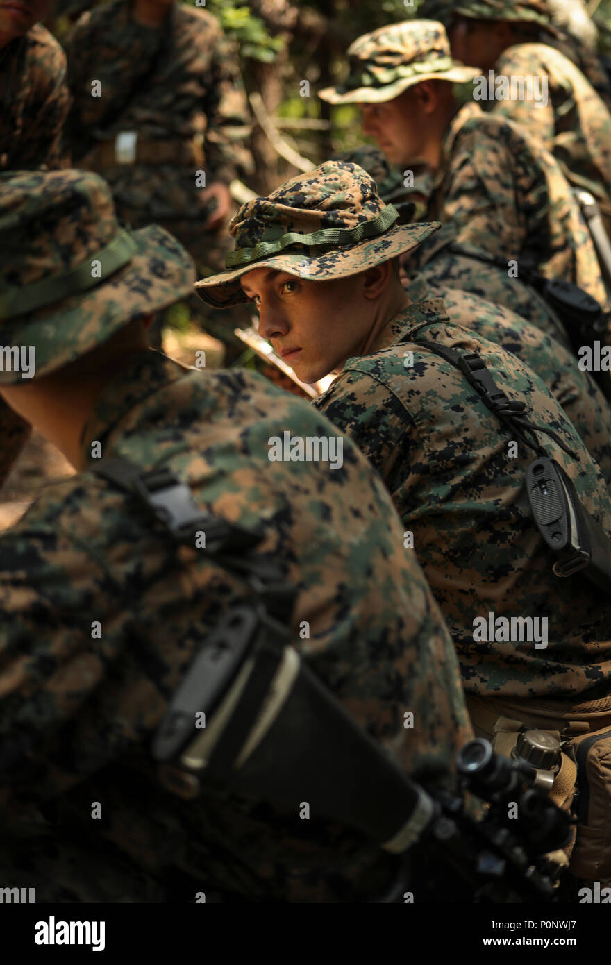 Dominic beesley hi-res stock photography and images - Alamy