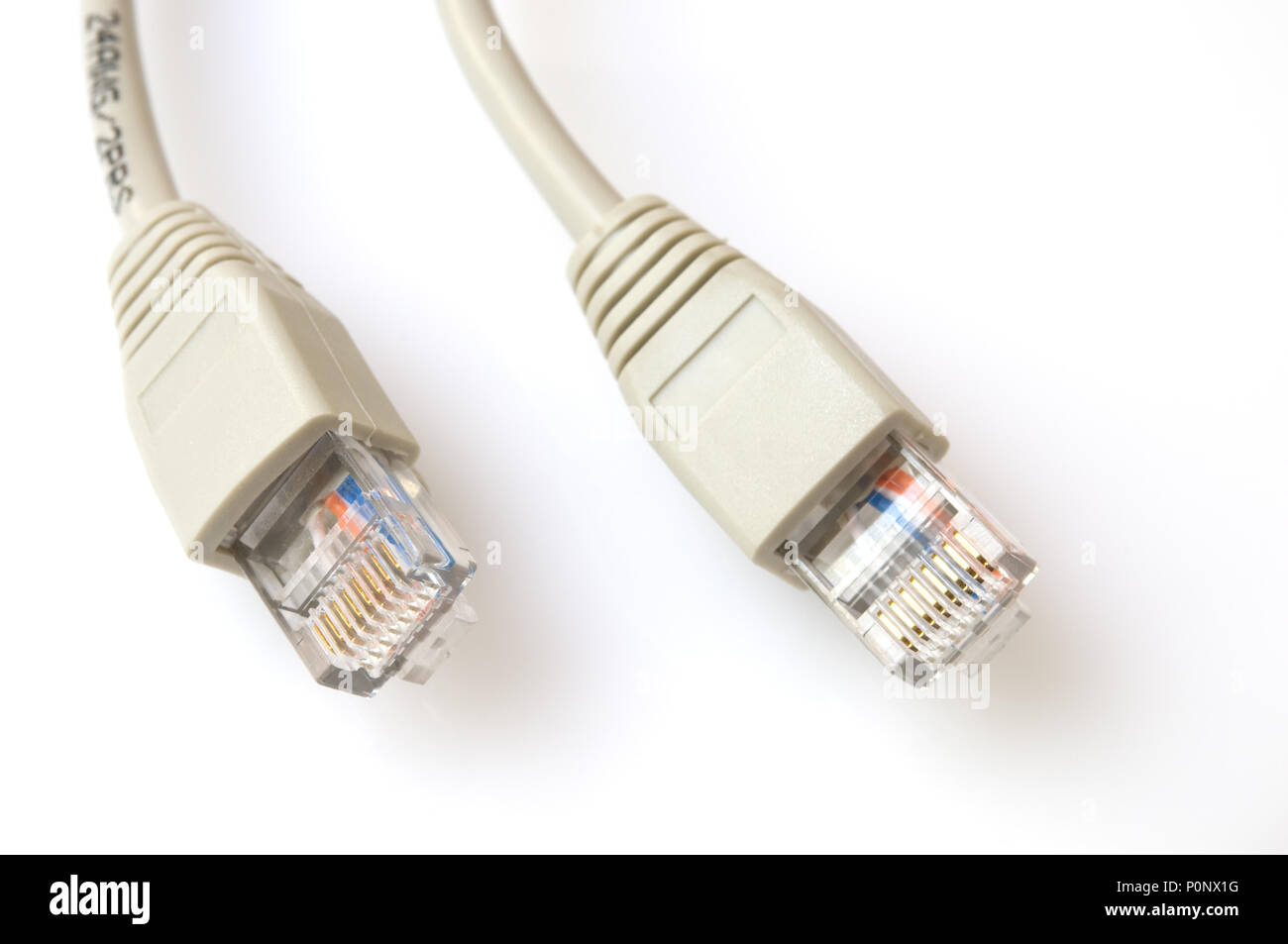 Network cables on white background Stock Photo - Alamy