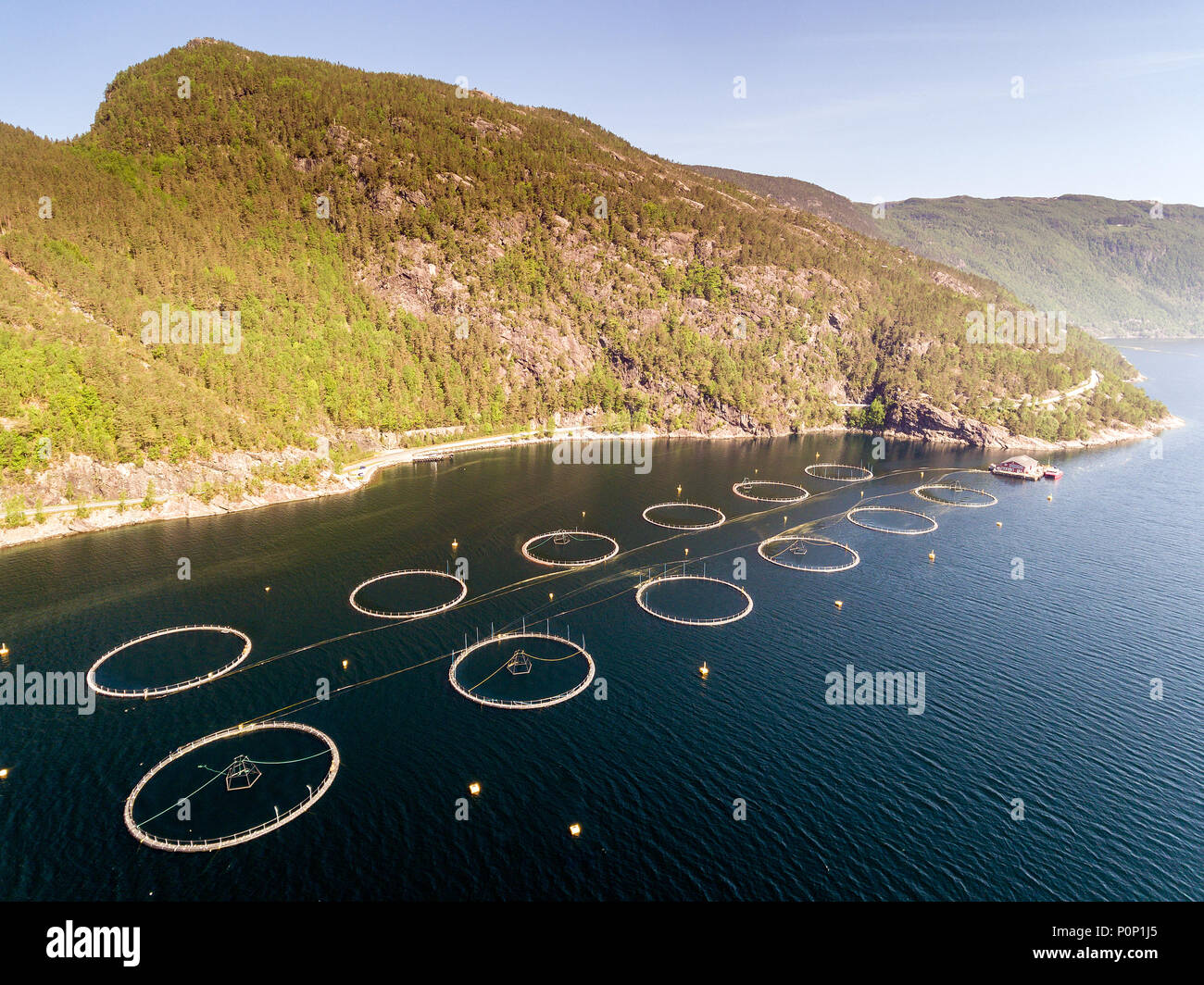 Norway fish farming hi-res stock photography and images - Alamy