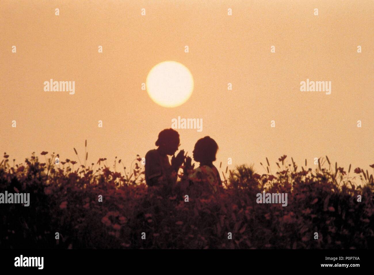 Original Film Title: THE COLOR PURPLE. English Title: THE COLOR PURPLE ...