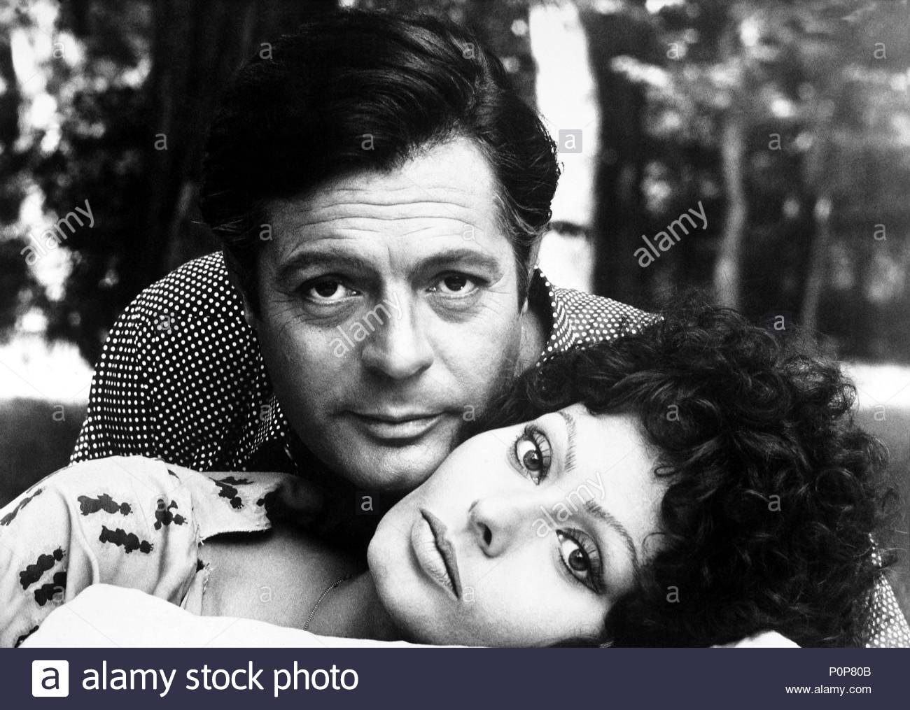 I Girasoli Stock Photos & I Girasoli Stock Images - Alamy