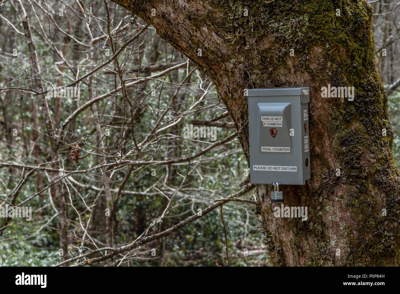NPS Trail Counter BoxNPS Trail Counter Box on trunk of tree Stock Photo ...