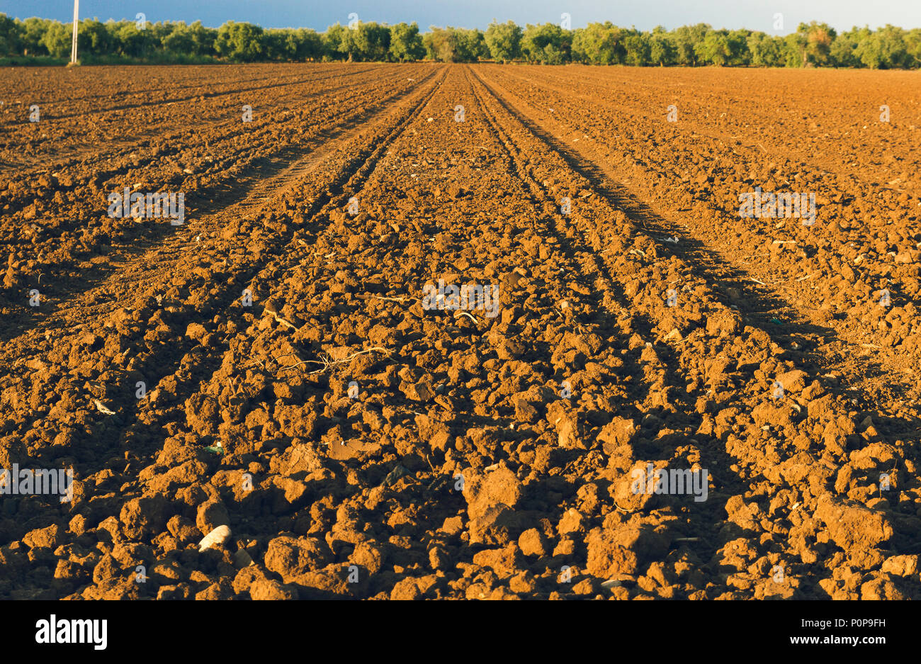 calm land to plant Stock Photo - Alamy
