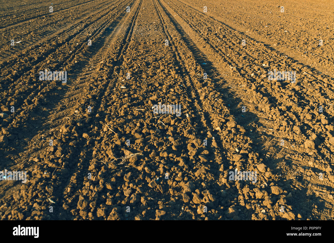 calm land to plant Stock Photo - Alamy