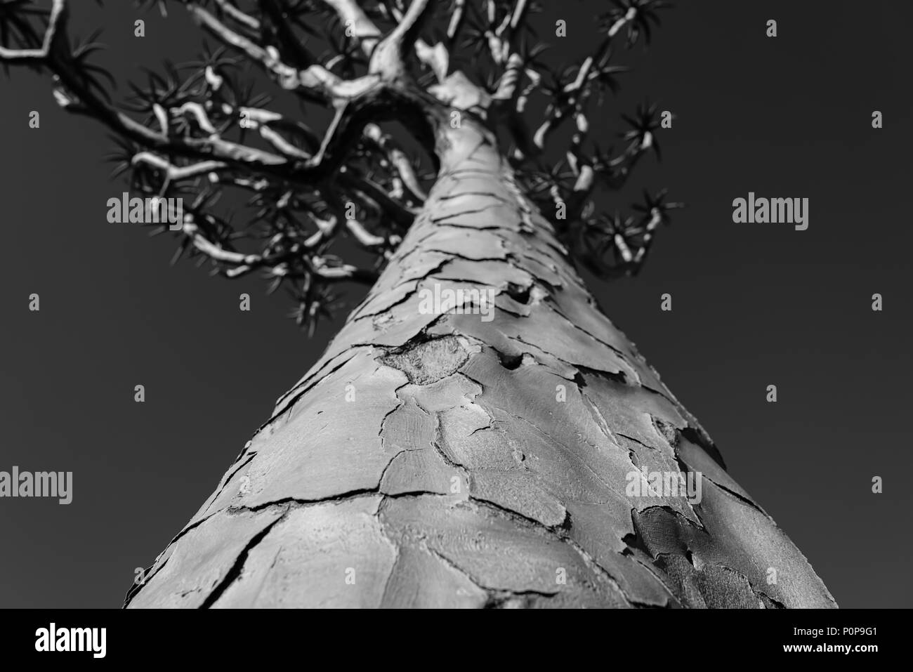 Beautiful unusual landscape image Black and White Stock Photos & Images ...