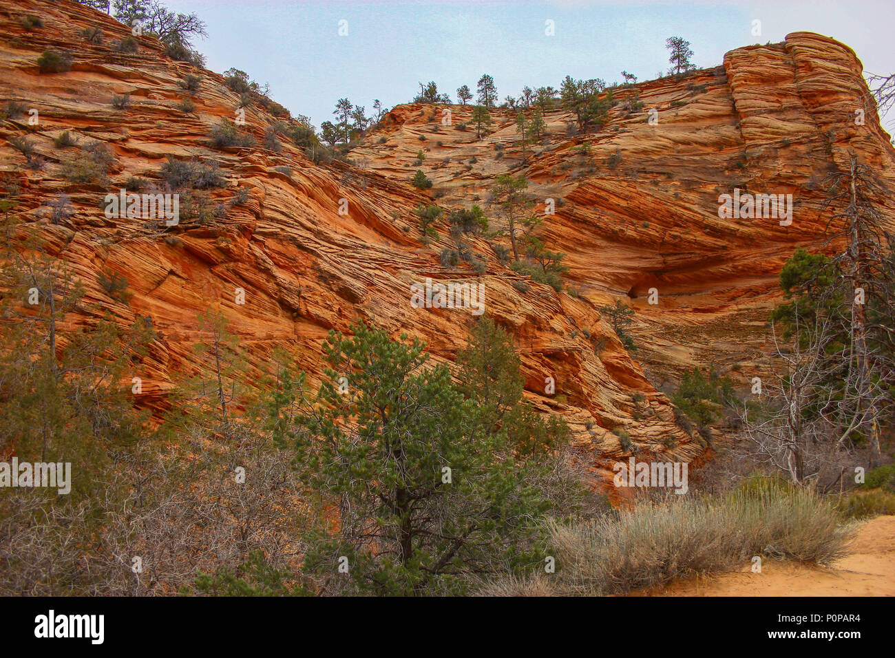 Zion National Park, Utah-rock formations Stock Photo - Alamy