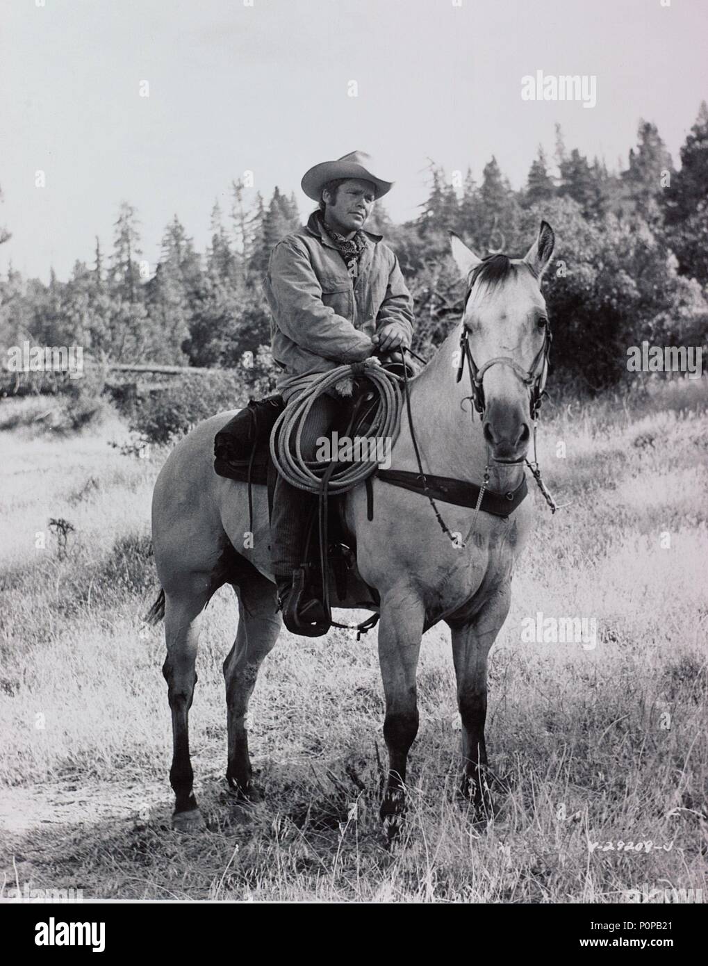 Doug mcclure hi-res stock photography and images - Alamy