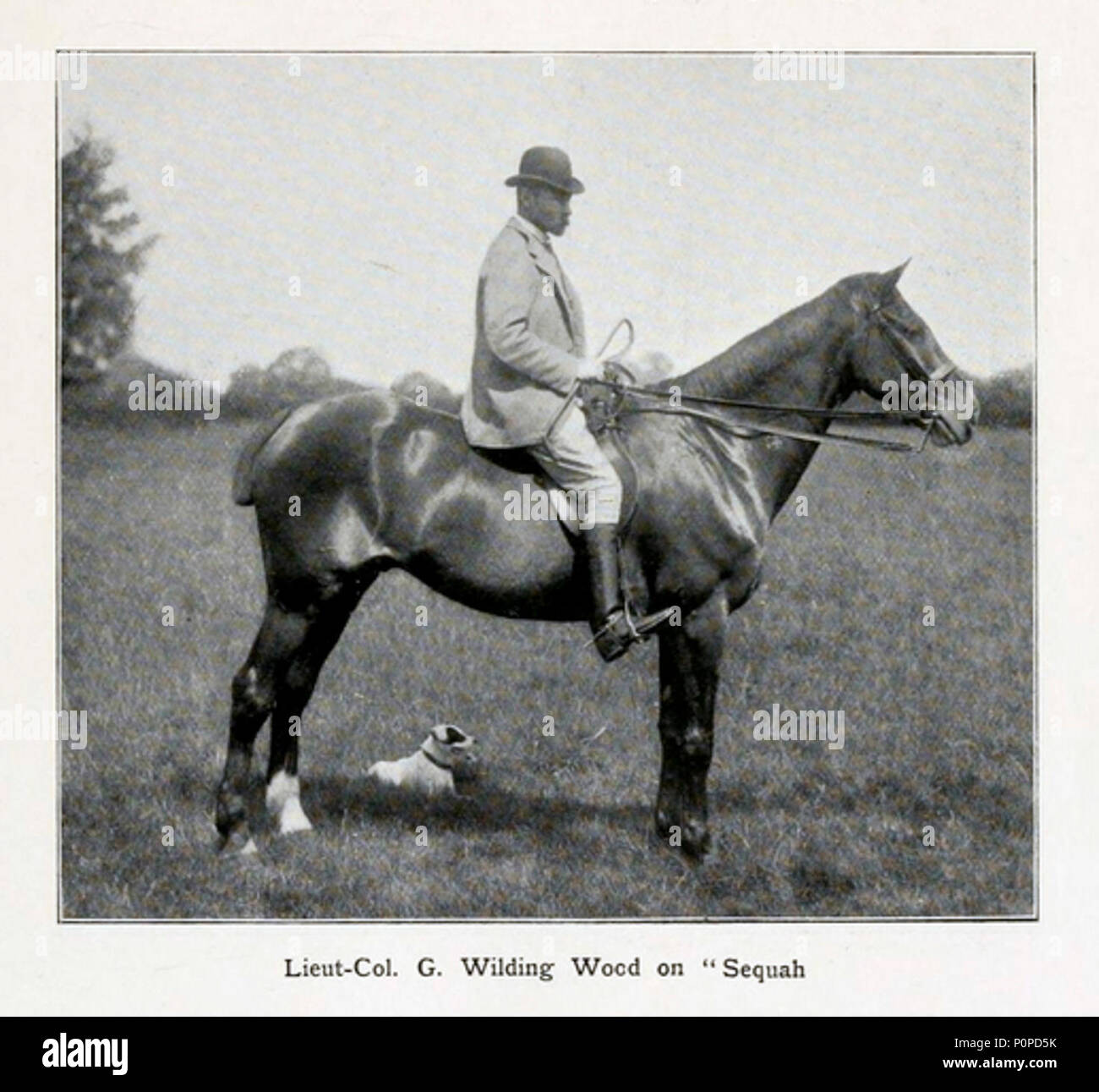 Leaves from a Hunting Diary in Essex p.171 - Lieutenant Colonel George ...