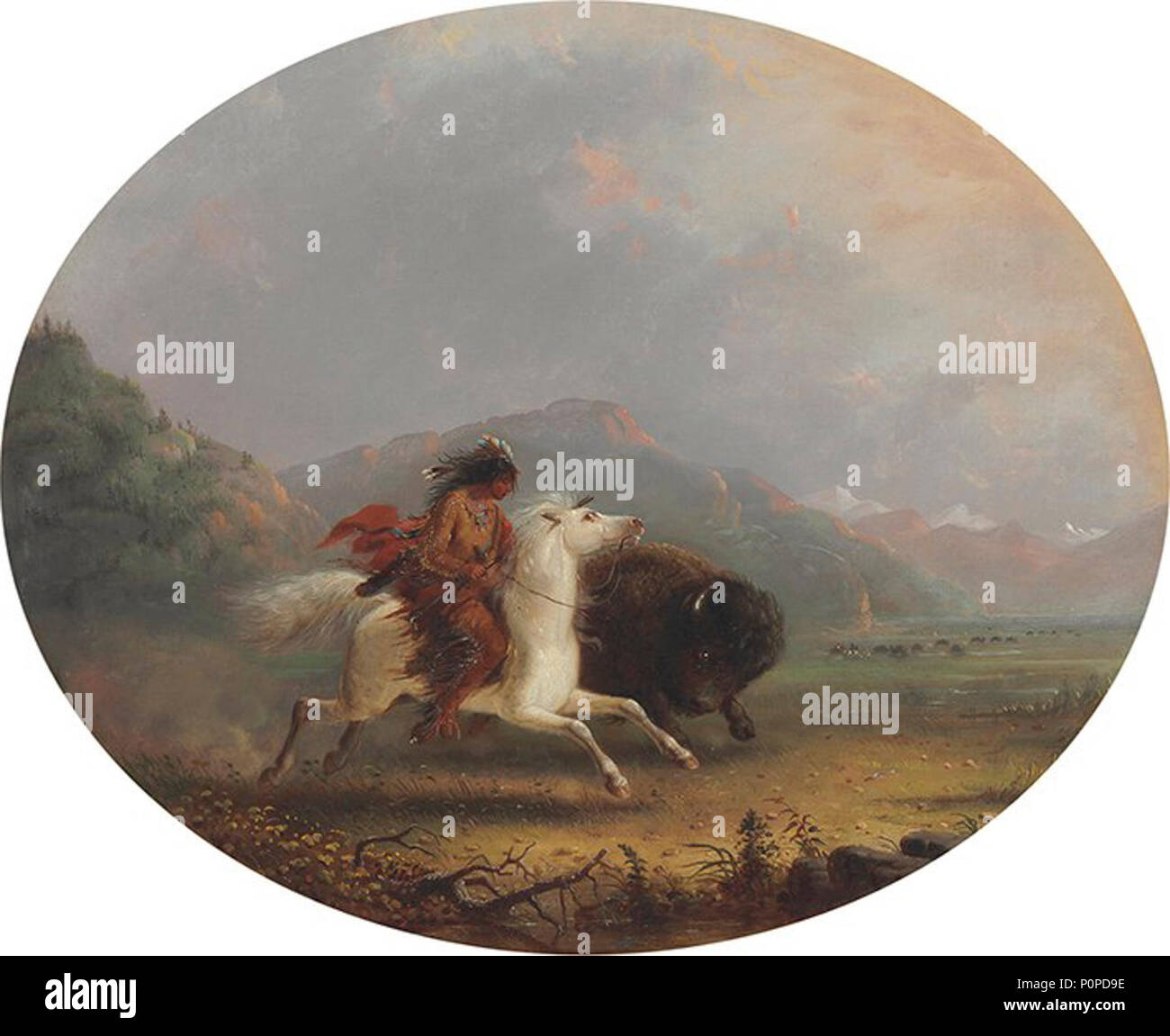 Pawnee Running a Buffalo by Alfred Jacob Miller Stock Photo - Alamy