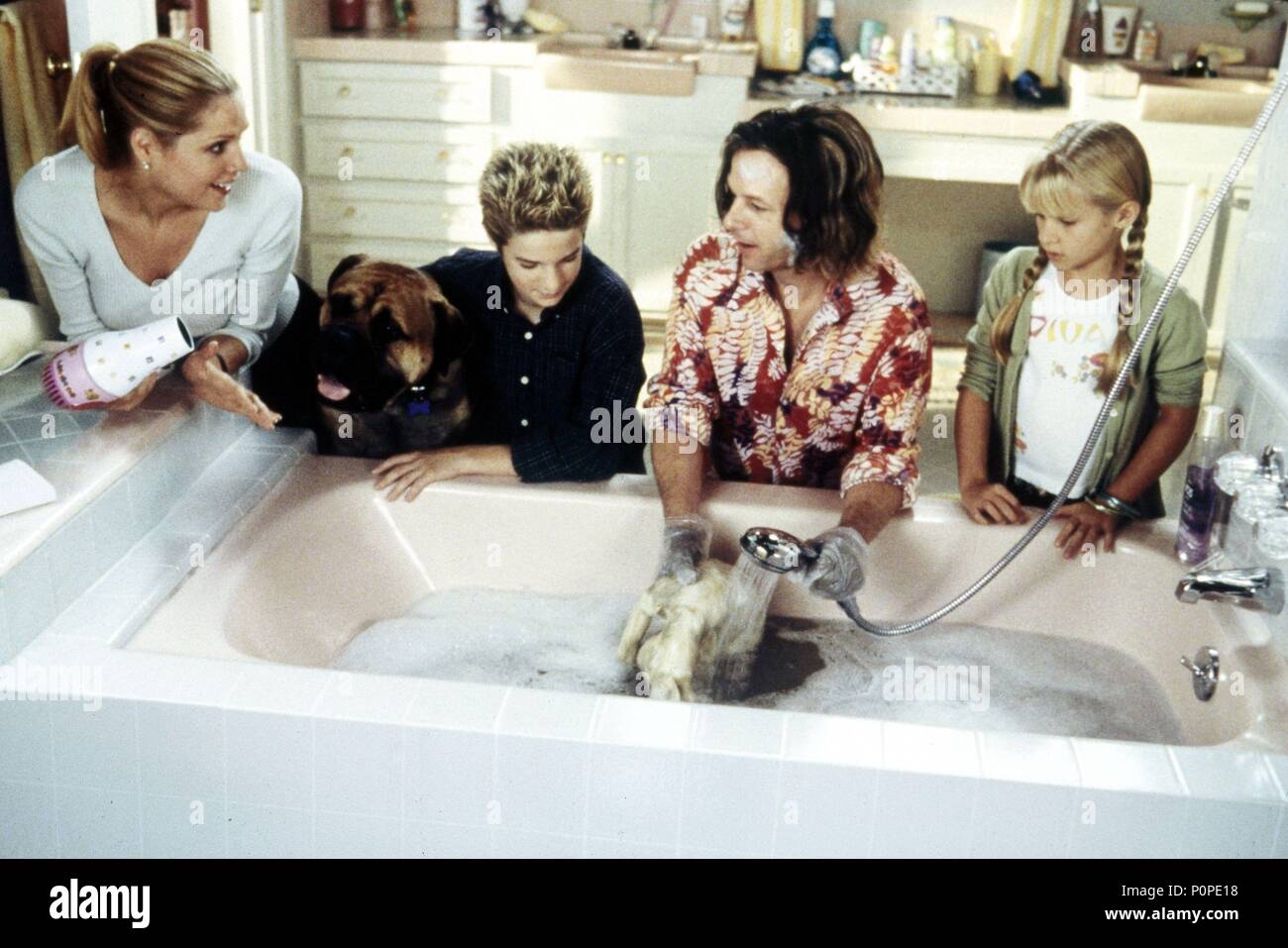 Original Film Title: DICKIE ROBERTS: FORMER CHILD STAR. English Title ...