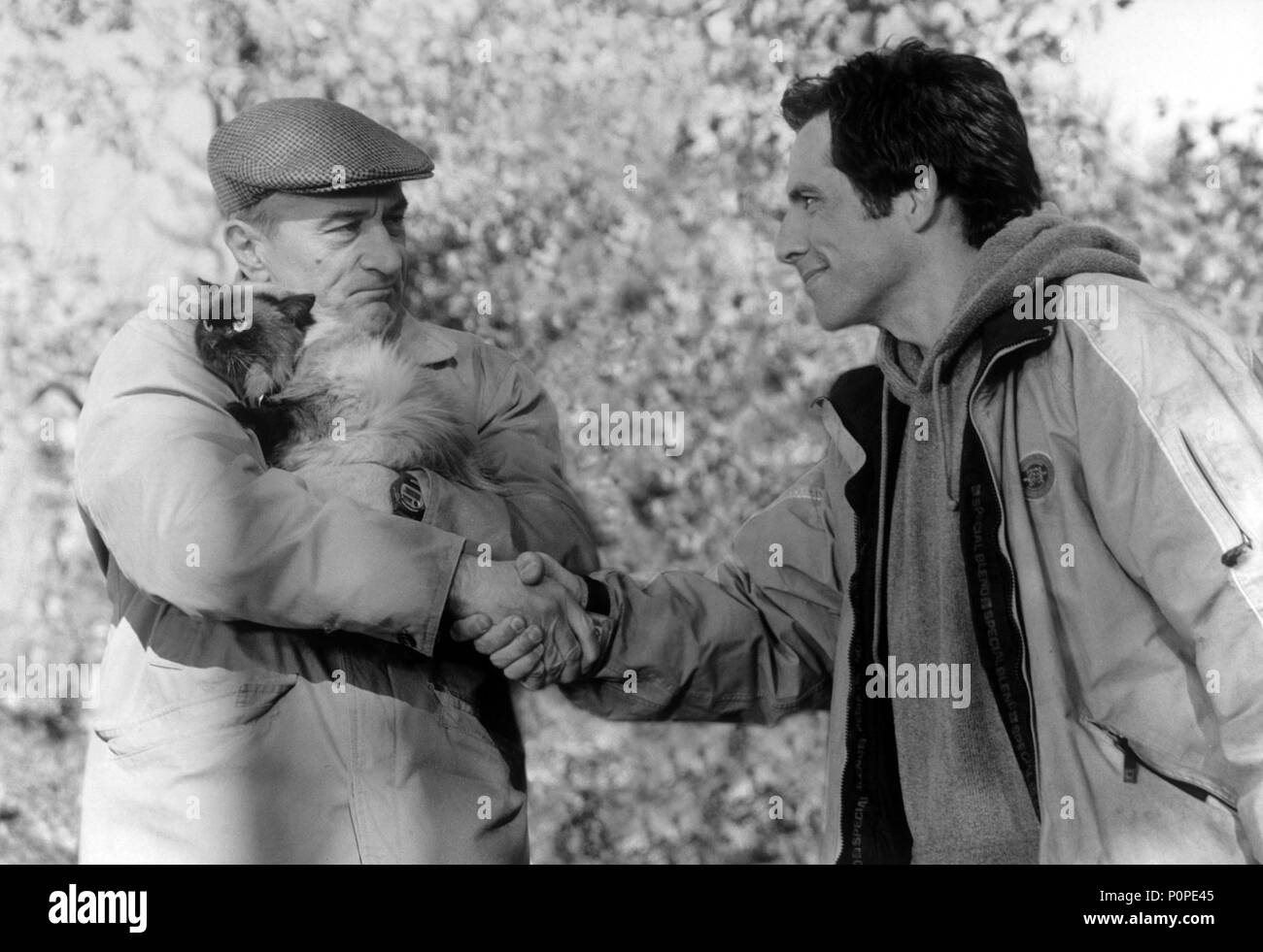 Meet the parents robert de niro hi-res stock photography and images - Alamy