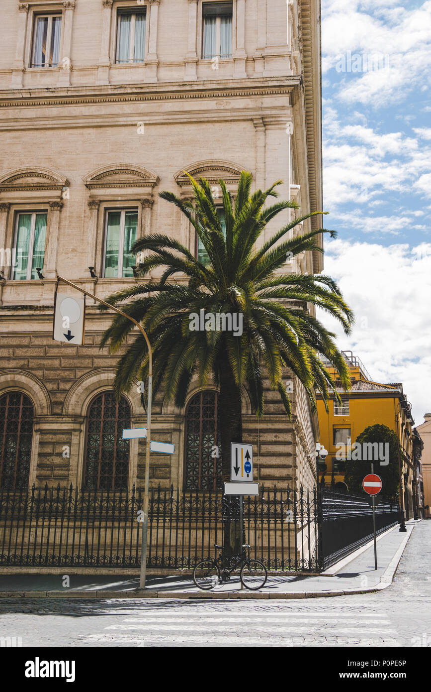 Palm tree on street hi-res stock photography and images - Alamy