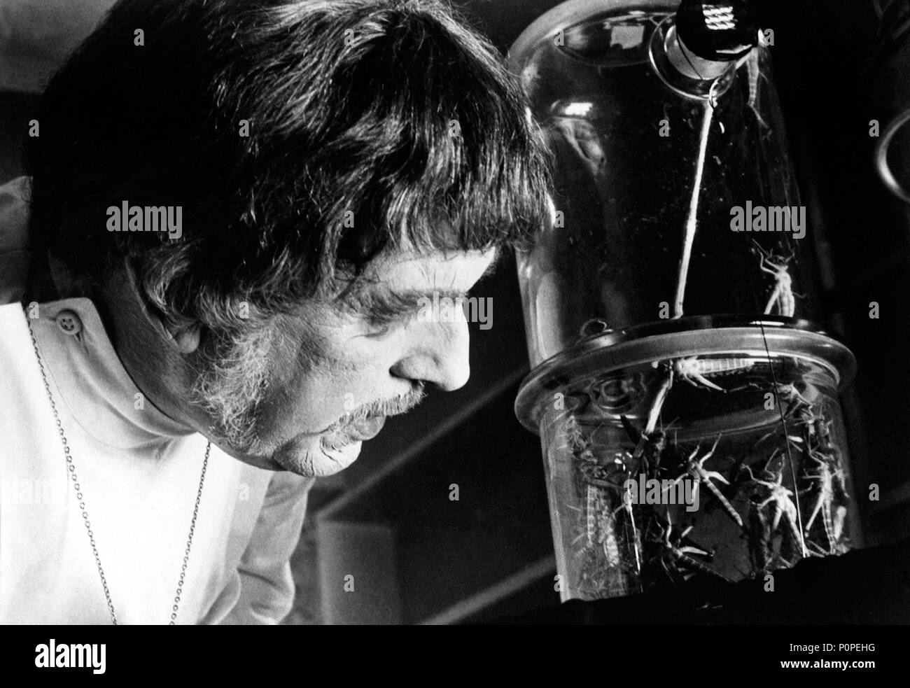Original Film Title: THE ABOMINABLE DR. PHIBES. English Title: THE ...