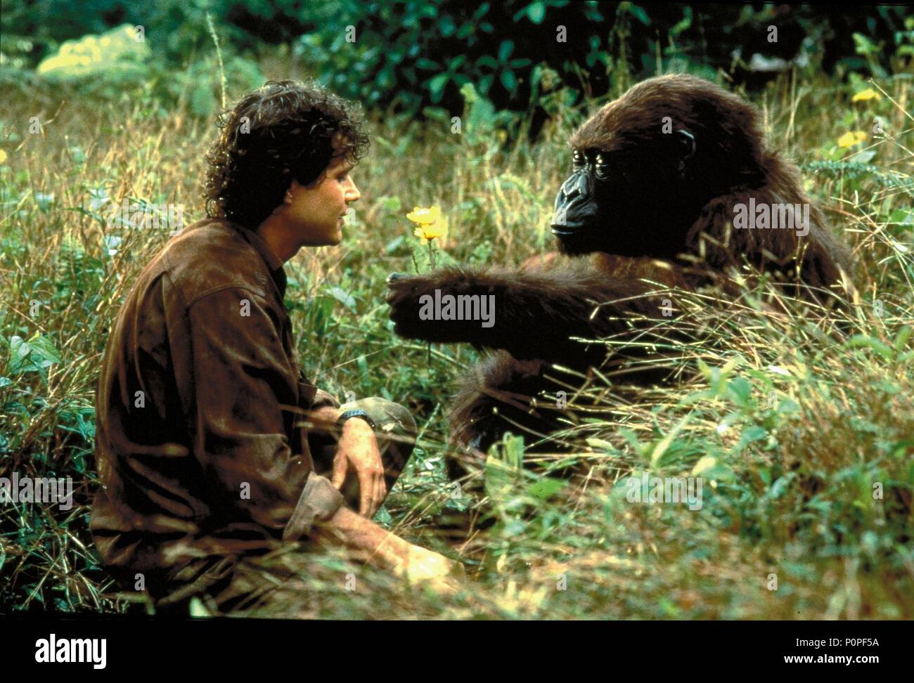 Original Film Title: CONGO. English Title: CONGO. Film Director: FRANK ...