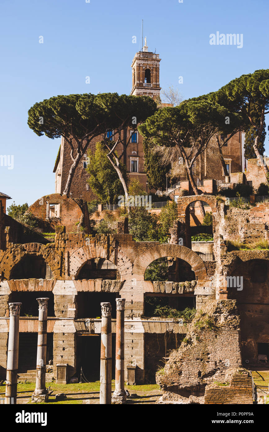 columns and trees at Roman Forum ruins in Rome, Italy Stock Photo - Alamy