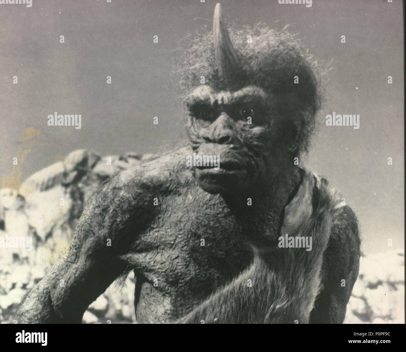 Original Film Title: SINBAD AND THE EYE OF THE TIGER. English Title ...