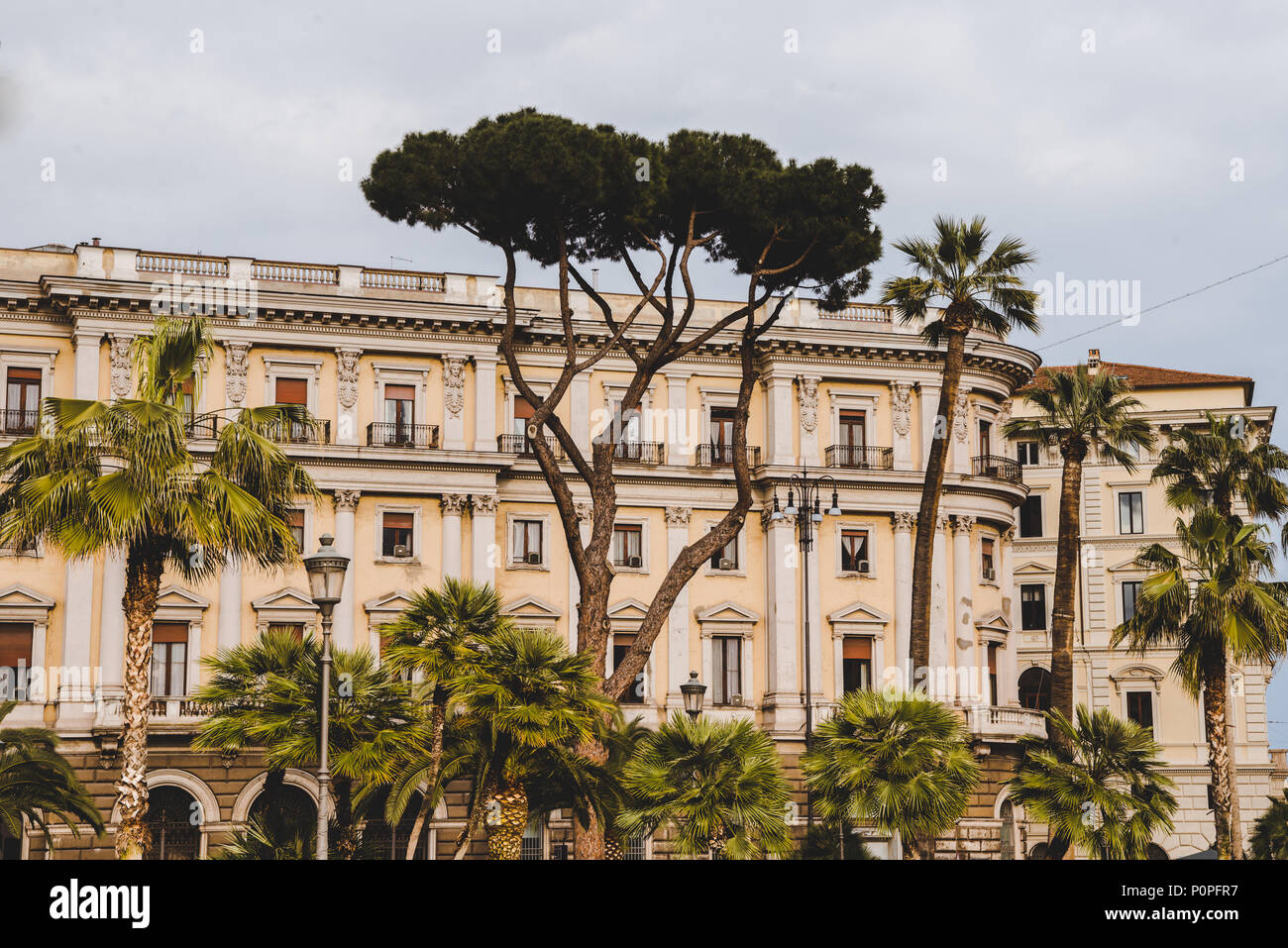 Palm trees rome italy hi-res stock photography and images - Alamy