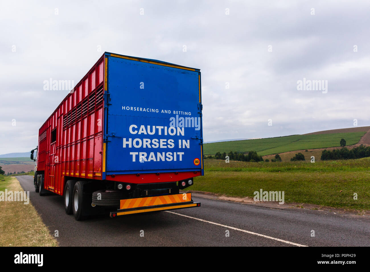 Horses transit transport truck on countryside road landscape Stock ...