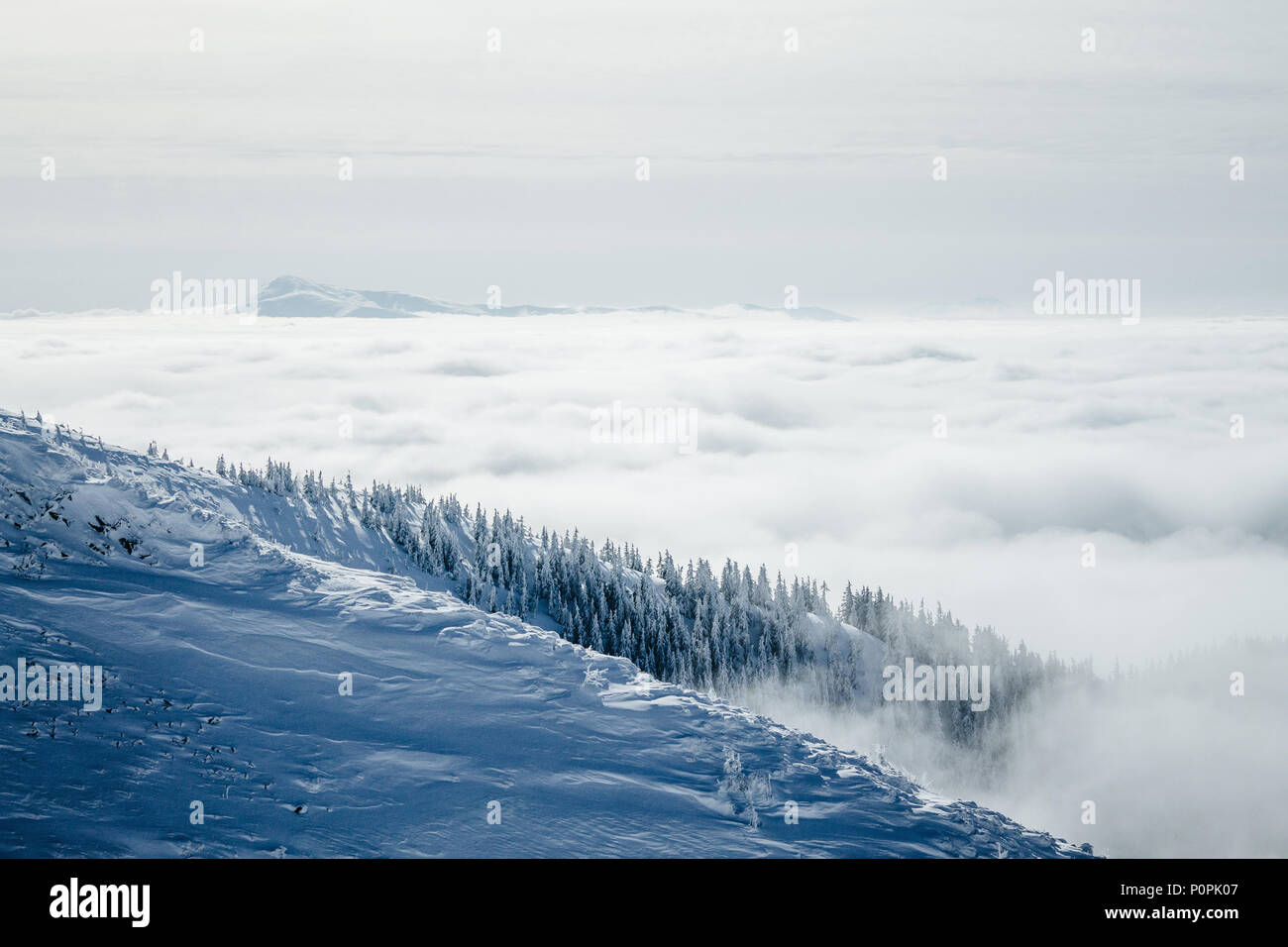 Frozen forest on hills of Gorgany mountains Stock Photo - Alamy