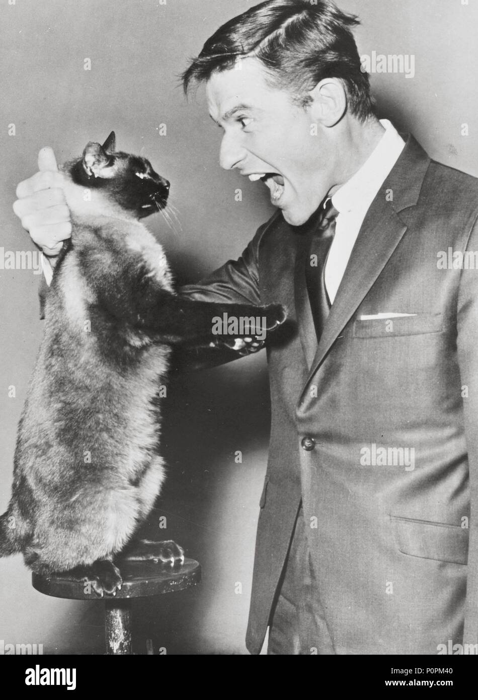 Christina Ricci That Darn Cat