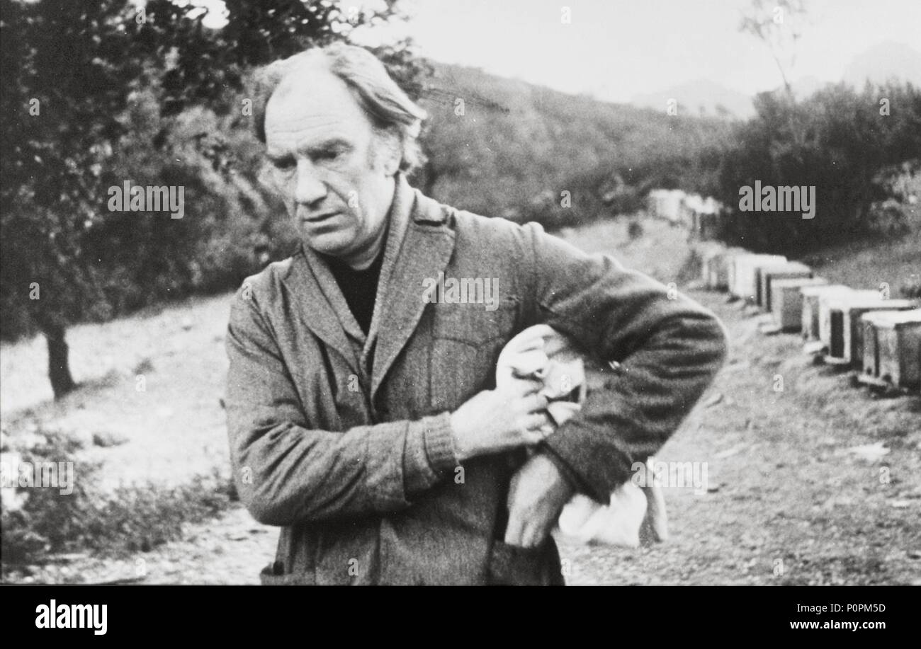 El espiritu de la colmena hi-res stock photography and images - Alamy