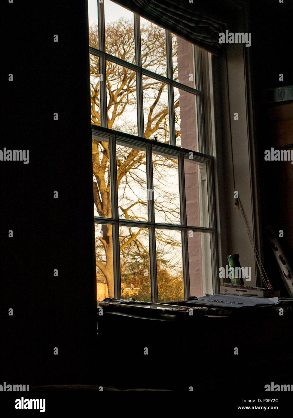 Tree seen through the window Stock Photo - Alamy