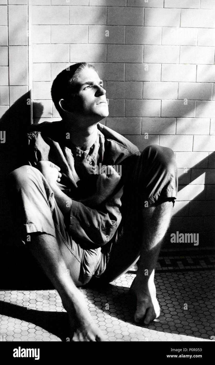 Original Film Title: BIRDY. English Title: BIRDY. Film Director: ALAN ...