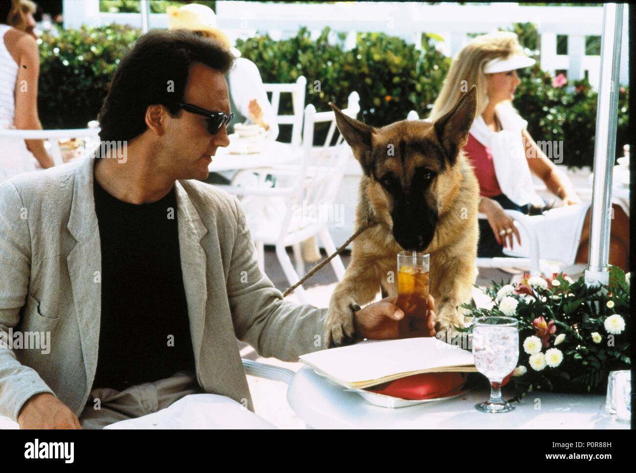 Original Film Title: AN. English Title: AN. Film Director: ROD DANIEL ...