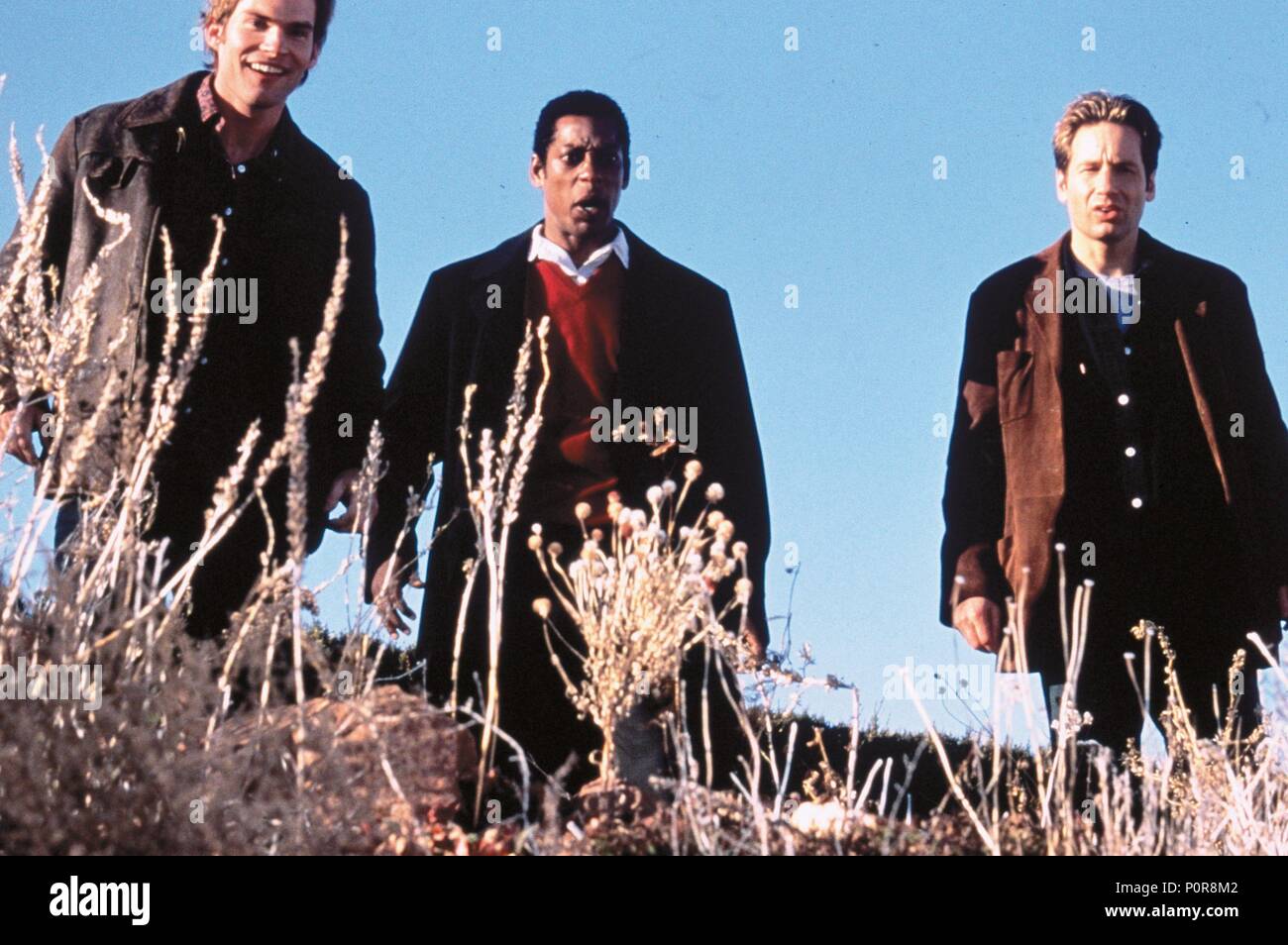 Original Film Title: EVOLUTION. English Title: EVOLUTION. Film Director ...