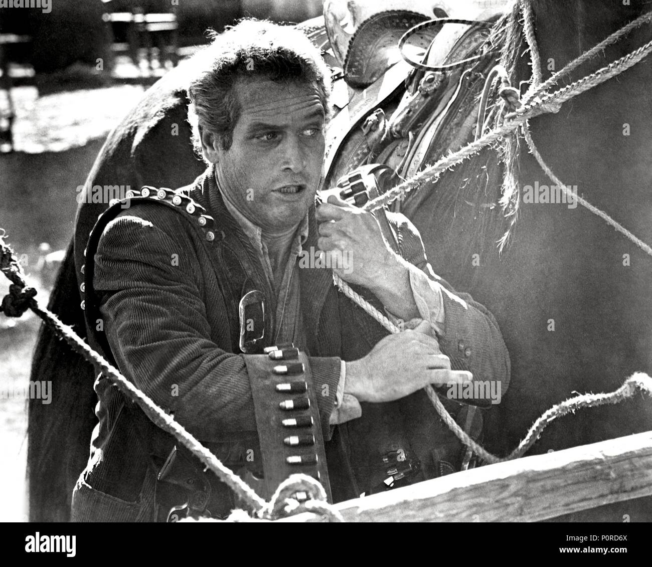 Original Film Title: BUTCH CASSIDY AND THE SUNDANCE KID. English Title ...