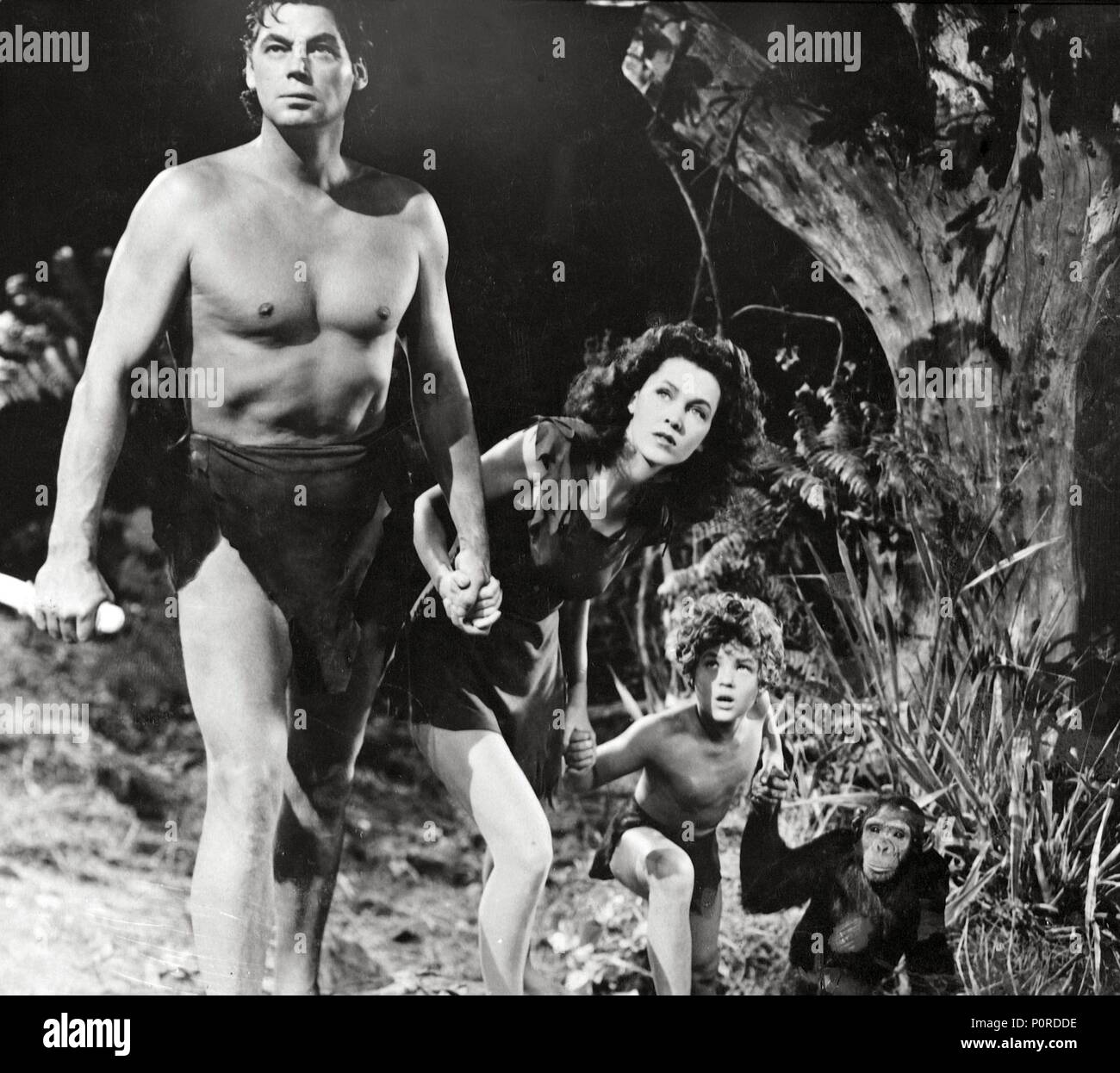 Original Film Title: TARZAN FINDS A SON!. English Title: TARZAN FINDS A SON!. Film Director ...