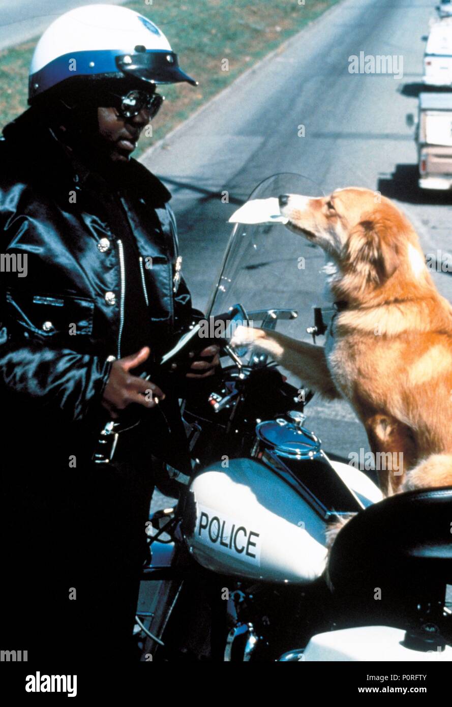 Bingo policial hi-res stock photography and images - Alamy