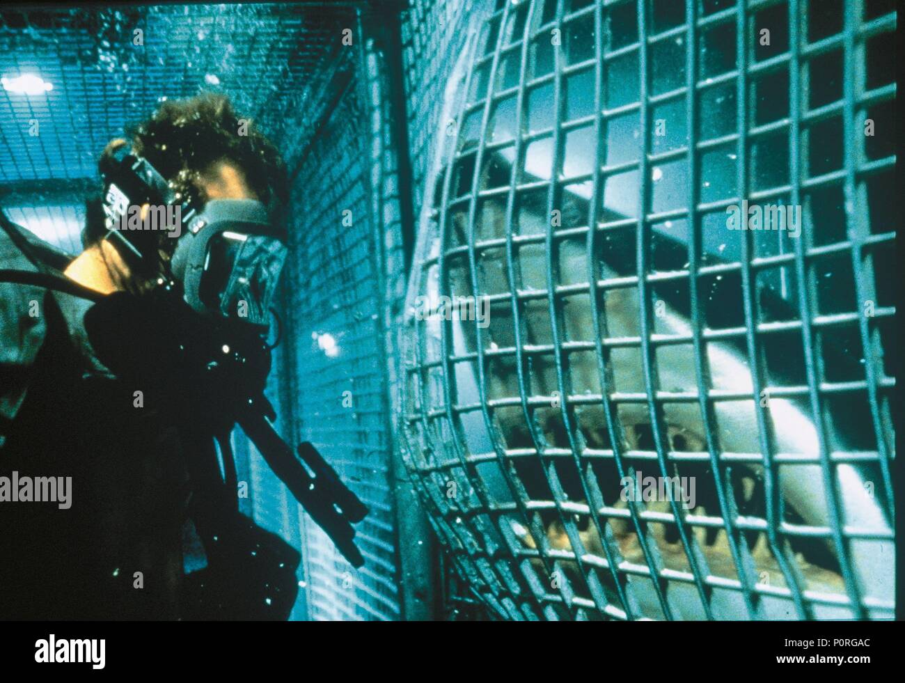 Deep Blue Ocean Movie