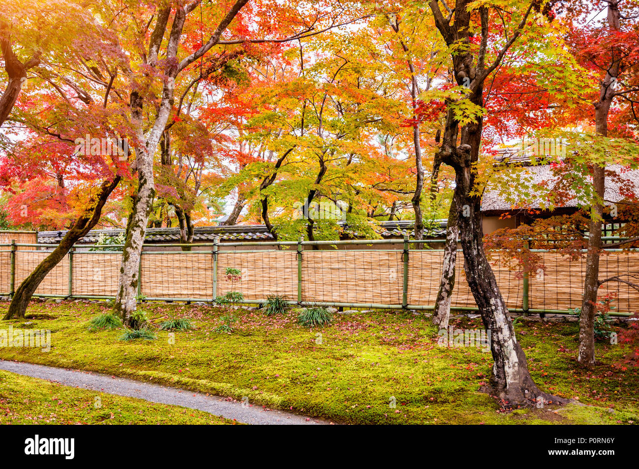 Plant japan path walking hi-res stock photography and images - Alamy