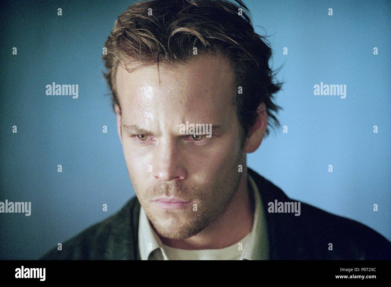 William Malone's Instagram, Twitter & Facebook on IDCrawl