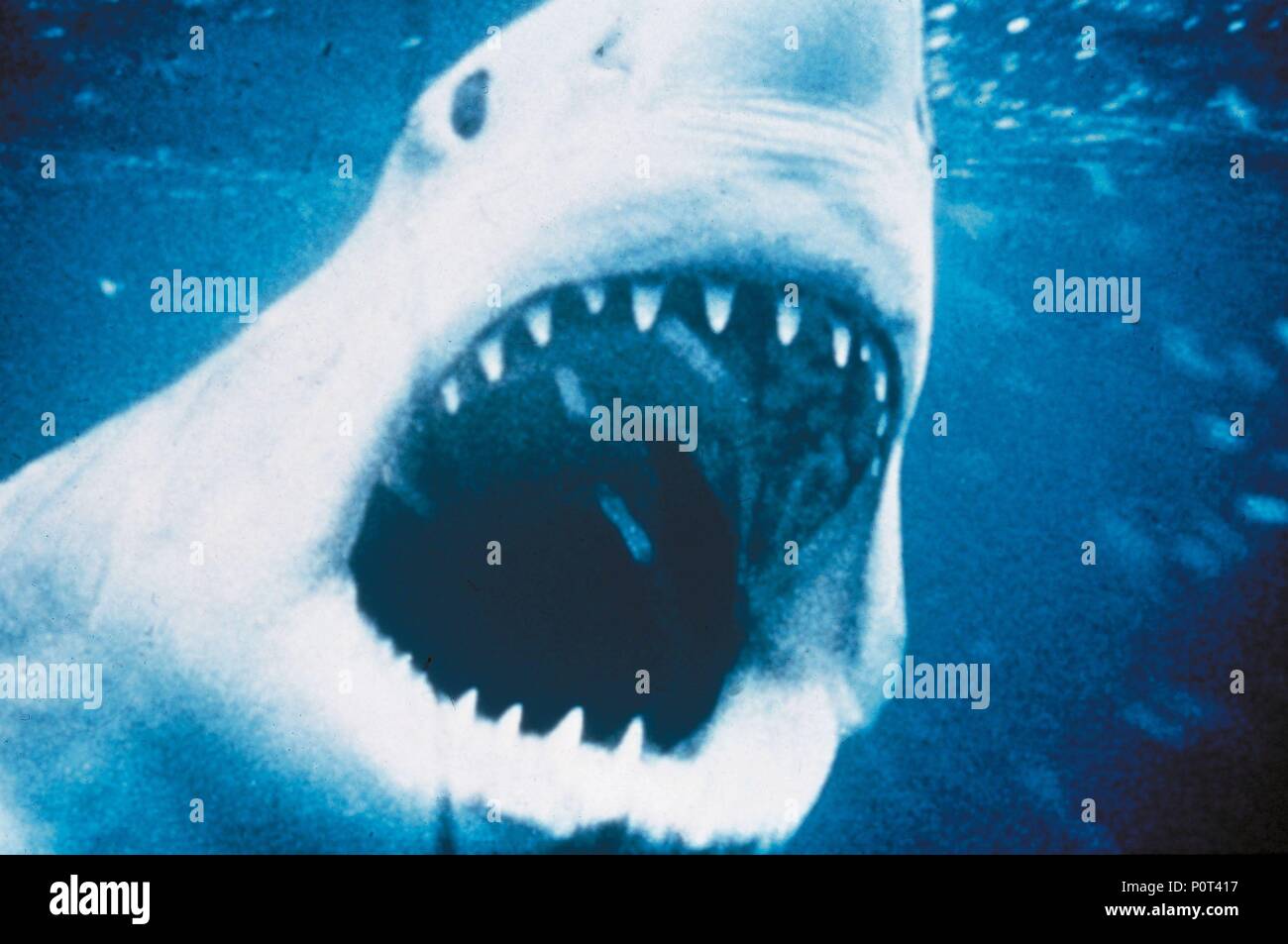 Original Film Title: ANN. English Title: ANN. Film Director: STEVEN ...