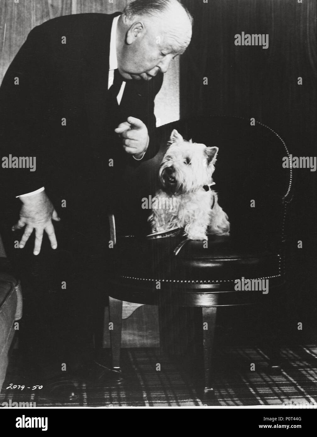 Alfred hitchcock family plot 1976 hi-res stock photography and images ...