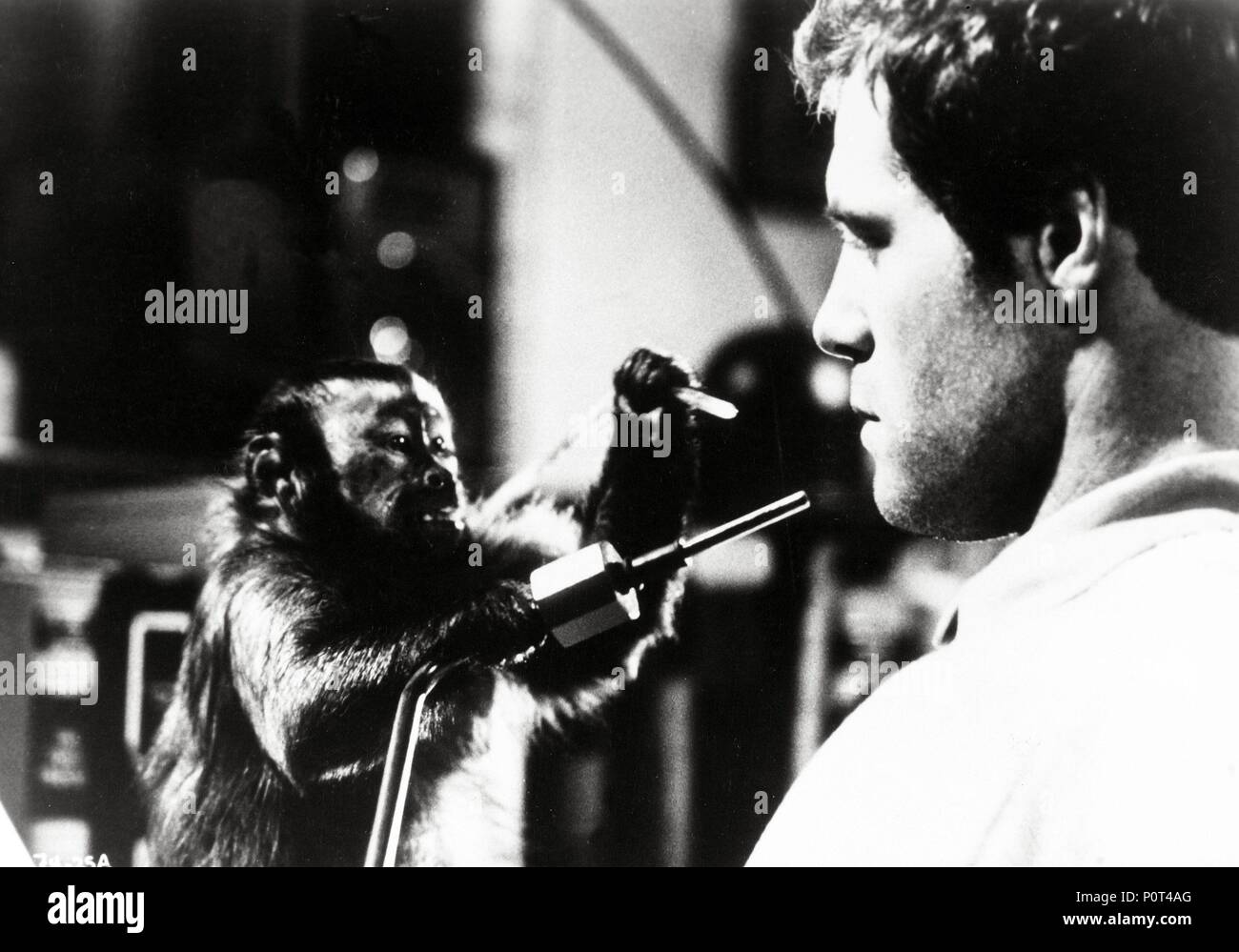 Original Film Title: MONKEY SHINES. English Title: MONKEY SHINES. Film ...