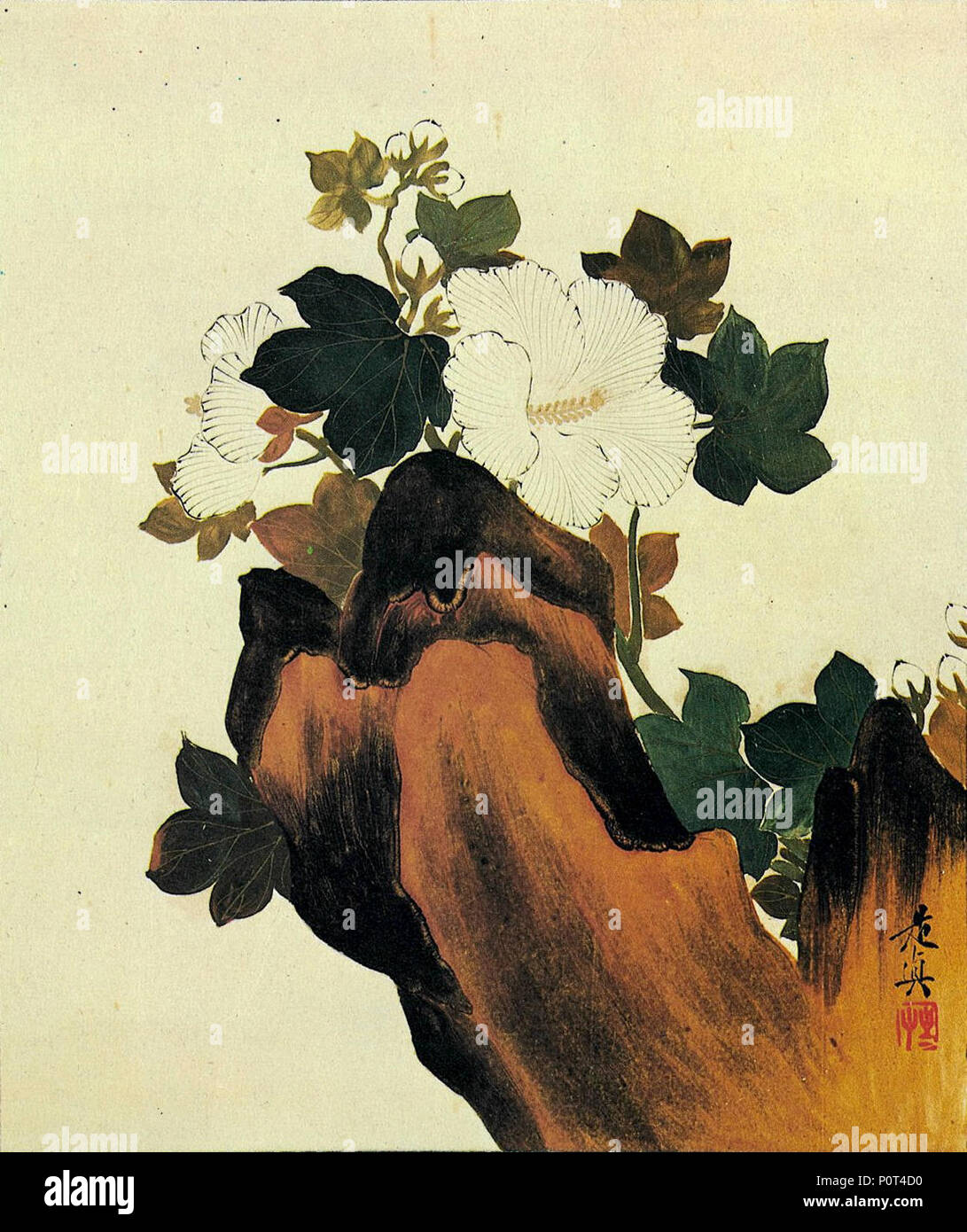 'Hibiscus Flowers and Rock' by Shibata Zeshin, Honolulu Museum of Art ...