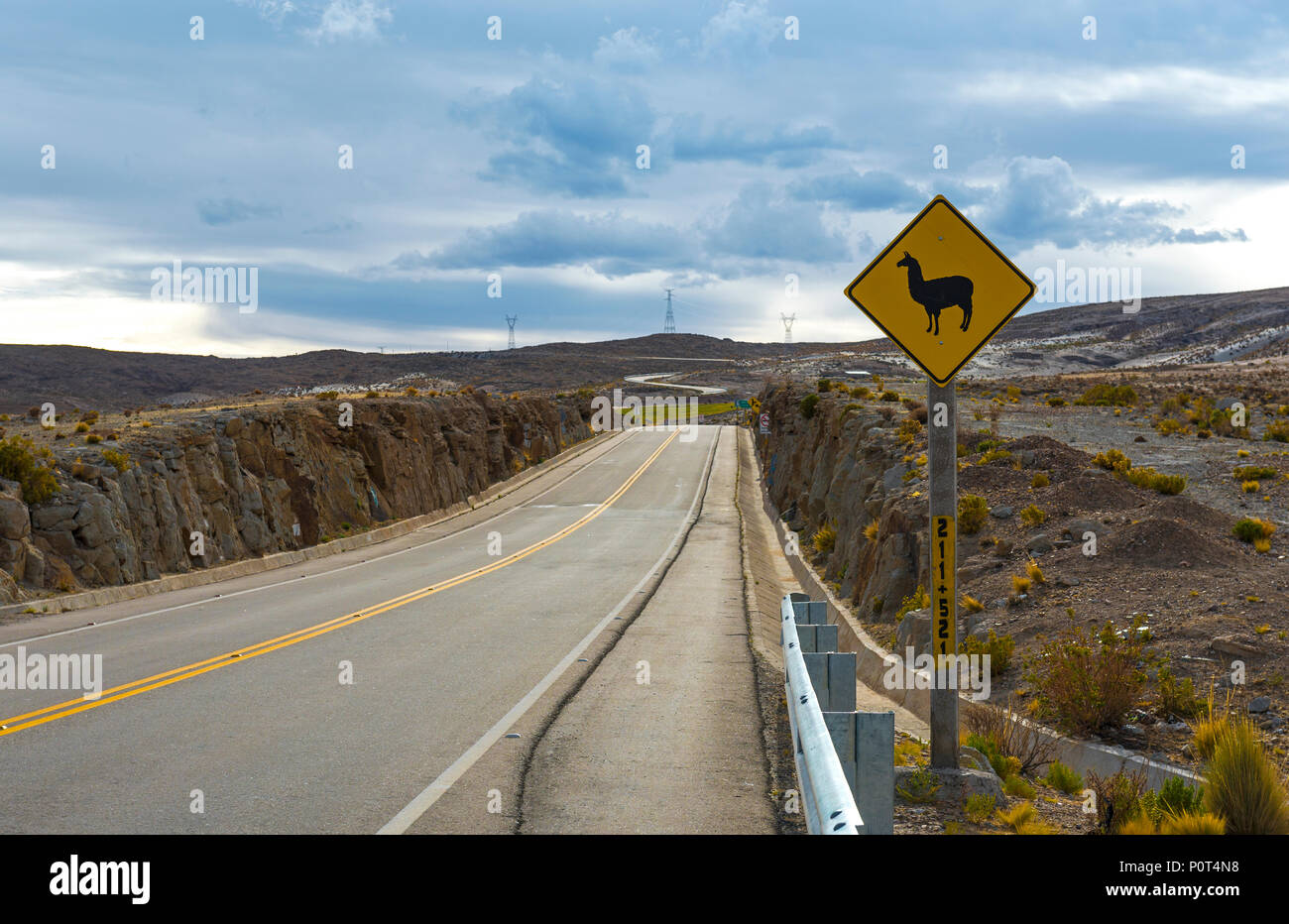 Ecuador andes alpaca road hi-res stock photography and images - Alamy