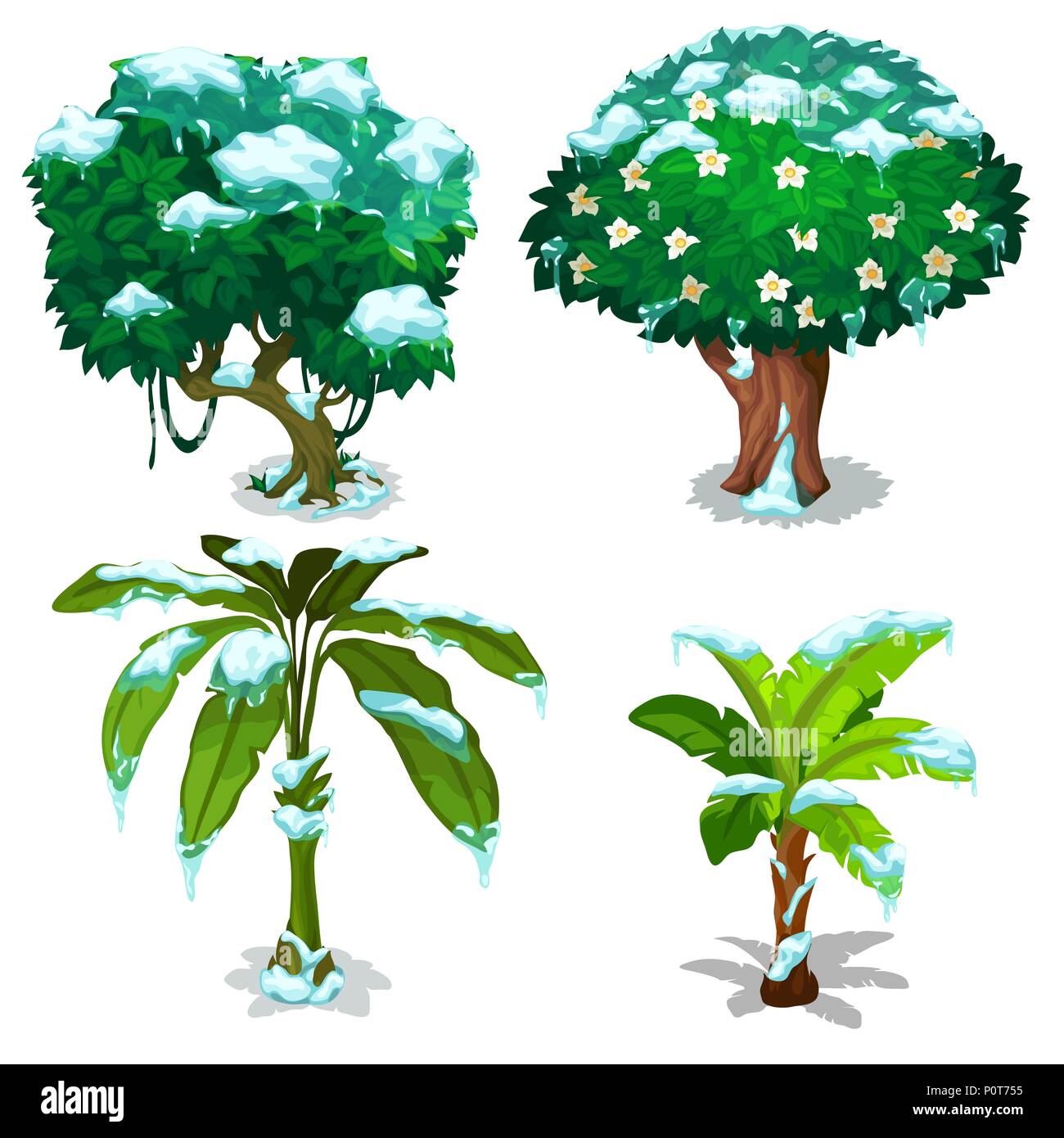 Tropical trees and plants frozen under the snow isolated on white ...