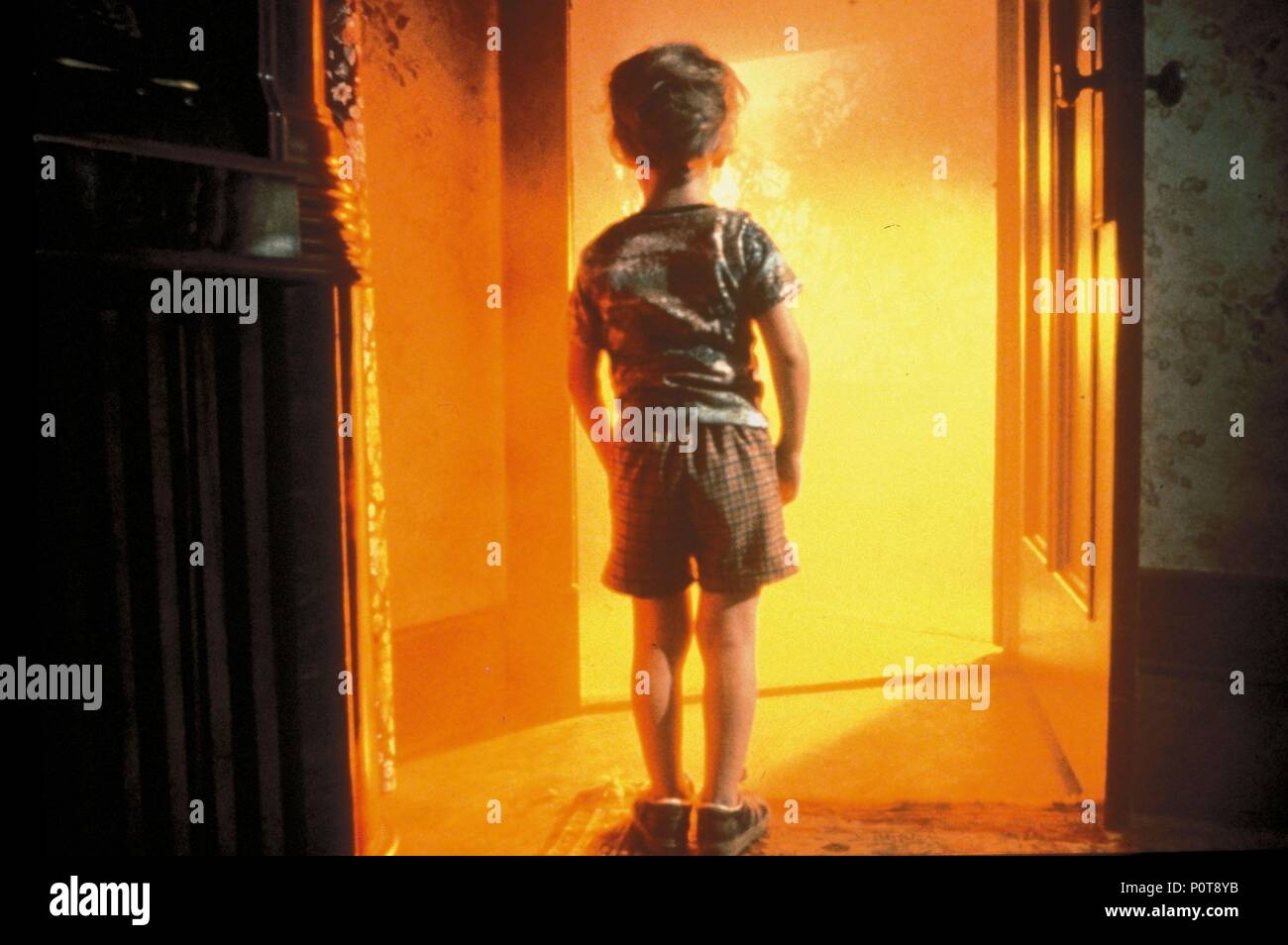 Original Film Title: CLOSE ENCOUNTERS OF THE THIRD KIND. English Title ...