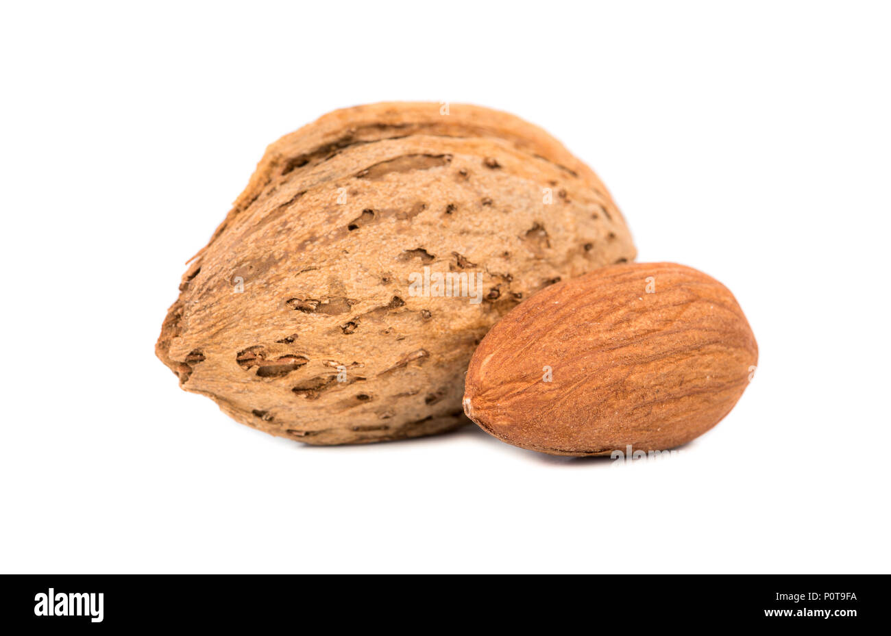 Two almond nuts in the shell and without on a white background Stock ...
